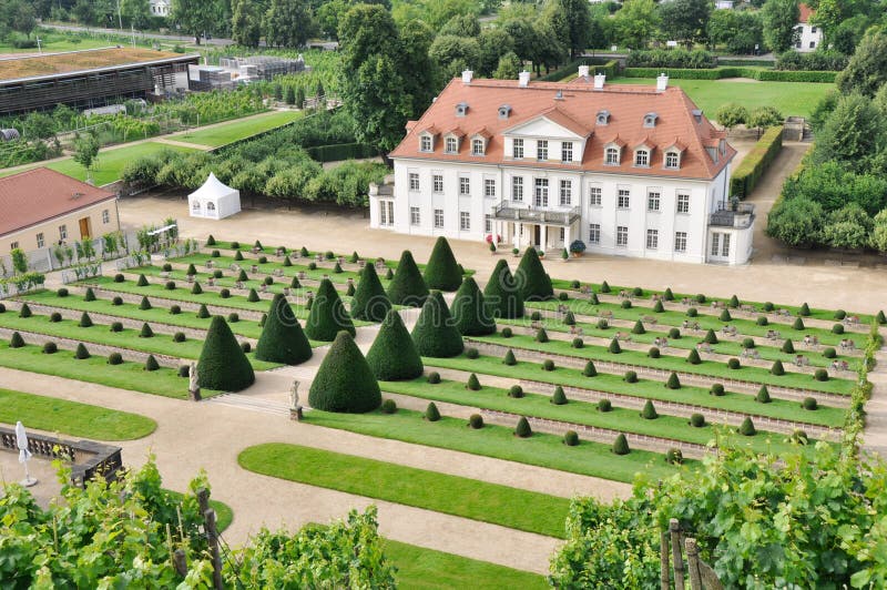 Radebeul vineyards stock photo. Image of pine, dresde - 16285396