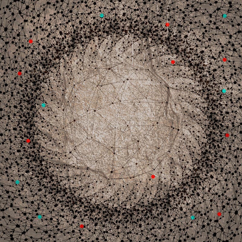 Radial Symmetry Biology Stock Illustrations – 72 Radial Symmetry ...