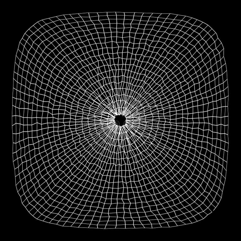 Radial Mesh for Design Project on Black - Vector Illustration Stock ...