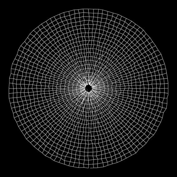 Radial Mesh for Design Project on Black - Vector Illustration Stock ...