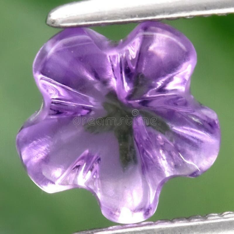 Radiant Amethyst Flower Gemstone Captured in Nature S Embrace Stock ...