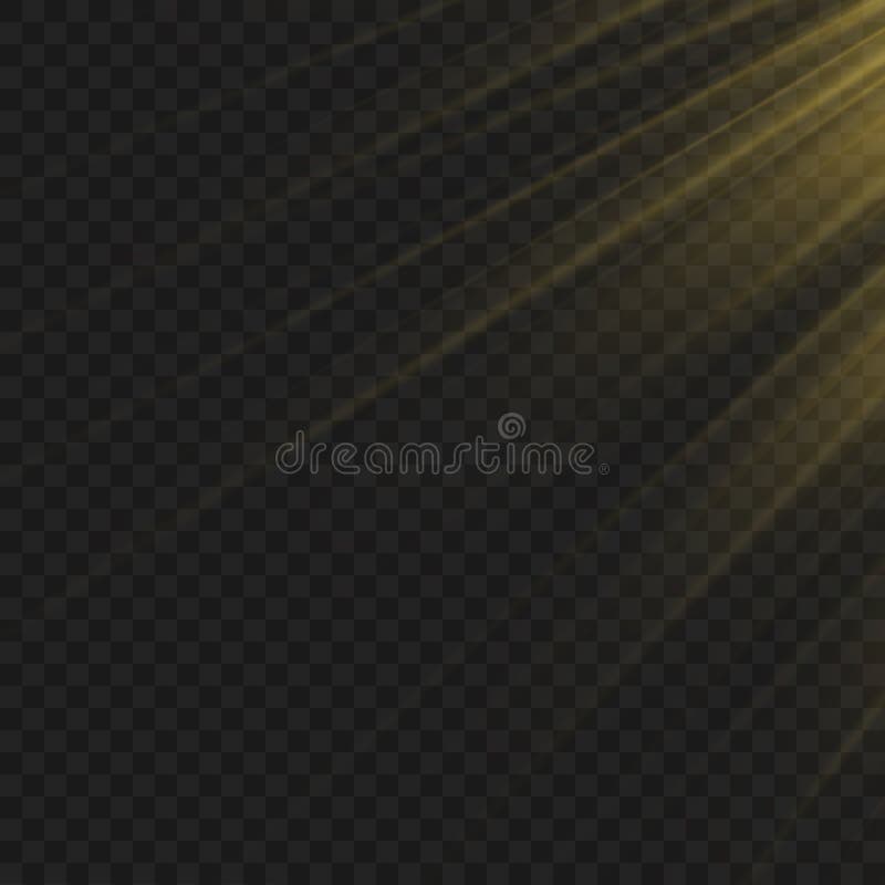 Golden Light Flares with Sparkling Effect on a Transparent Background ...