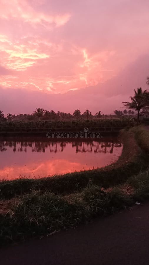 Radiant red aurora stock photo. Image of radiant, horizon - 265520208