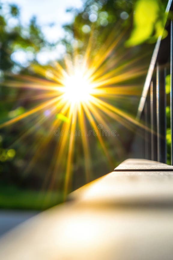 Radiant Sunlight through Trees and Metal Railing Outdoors Stock Photo ...