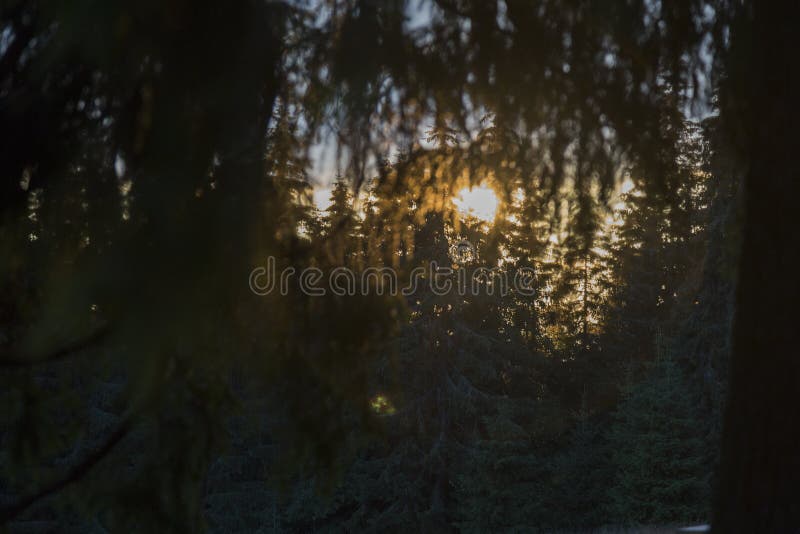 Radiating Evening Sun through the Clouds in the Forest Stock Image ...