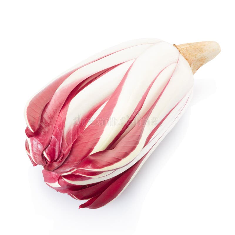 Endive italienne Salade photo stock. Image du chicorée - 13515136