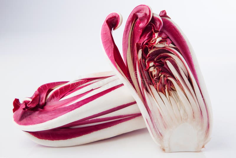 Radicchio of Treviso on White Background Stock Photo - Image of ...