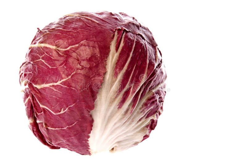 Radicchio Vegetable stock photo. Image of isolated, leaf - 5970048
