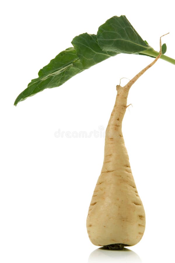 Prezzemolo Rapa-sradicato fotografia stock. Immagine di pianta - 2271256