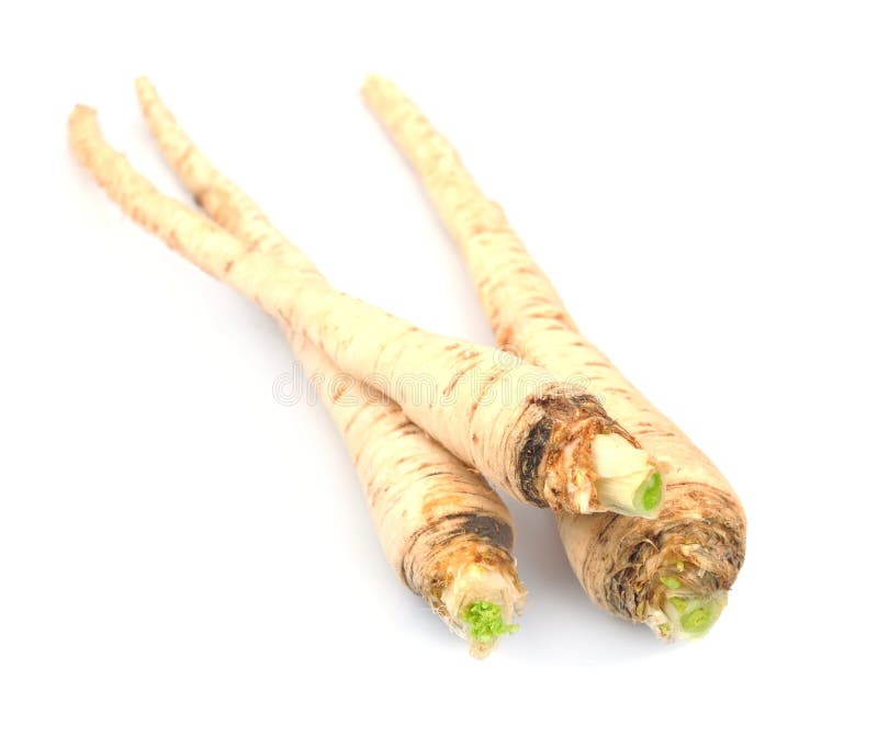 Radice del prezzemolo fotografia stock. Immagine di nutrizione - 31205830