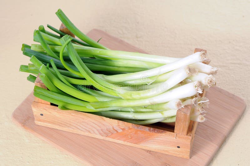 Radici della cipolla verde fotografia stock. Immagine di caso - 35766152