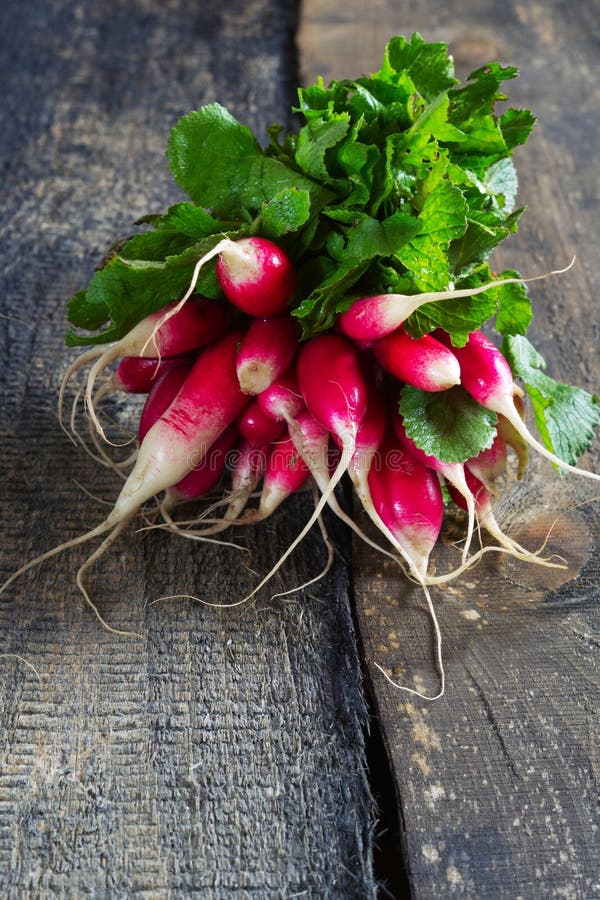 Radijs stock afbeelding. Image of rood, hout, raad, voedsel - 35379989