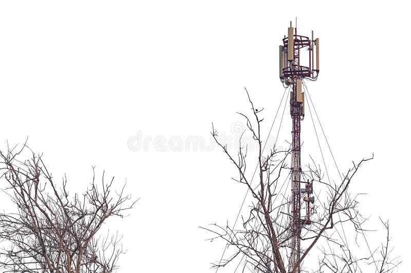 Radio Communication Tower with Antennas, Transmitters, Tree Branches ...