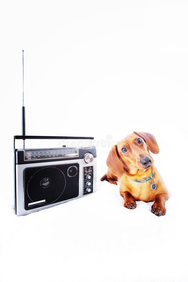 716 Dog Radio Stock Photos - Free & Royalty-Free Stock Photos from ...