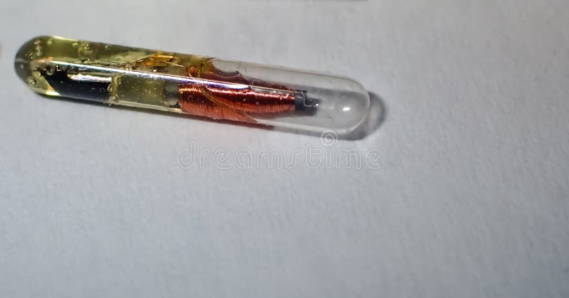 Radio Frequency Identification - RFID Microchip Stock Photo - Image of ...