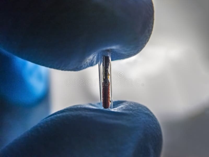 Radio Frequency Identification - RFID Microchip Stock Photo - Image of ...