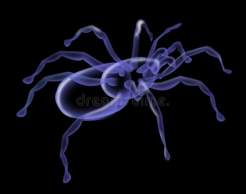 Radiografía Del Insecto De La Araña Stock de ilustración - Ilustración ...