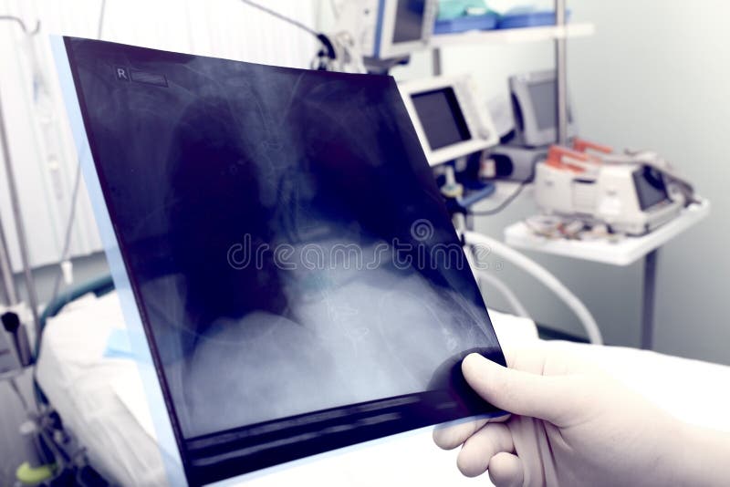 Image of old man hand stock image. Image of sign, holding - 31178913