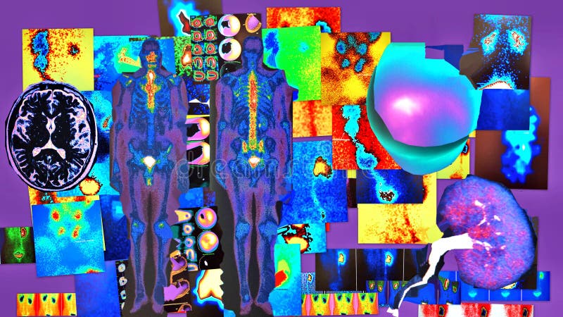 Human Organs Vector Heart Stock Photos - Free & Royalty-Free Stock ...