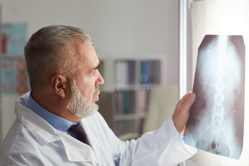 Radiologist Working with X-ray Image Stock Image - Image of looking ...