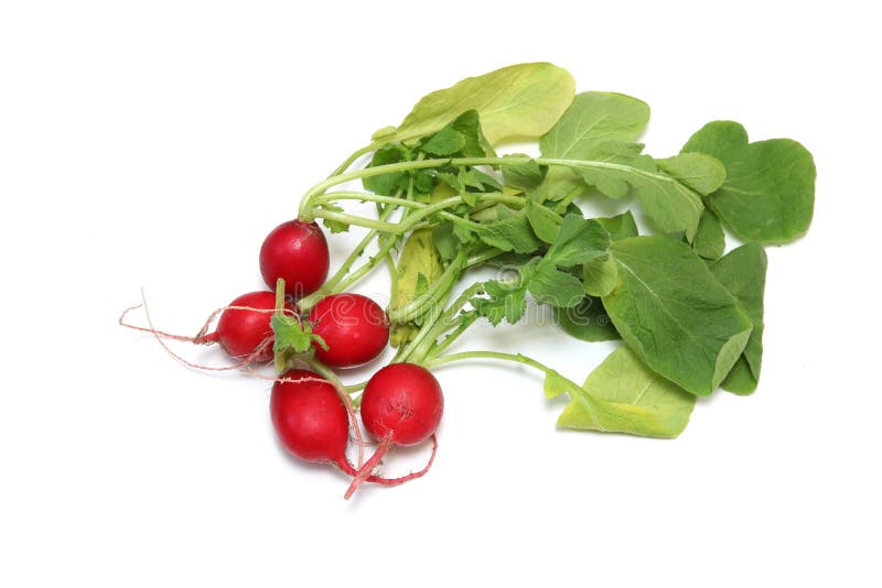 Radis sur le fond blanc photo stock. Image du produit - 31497200