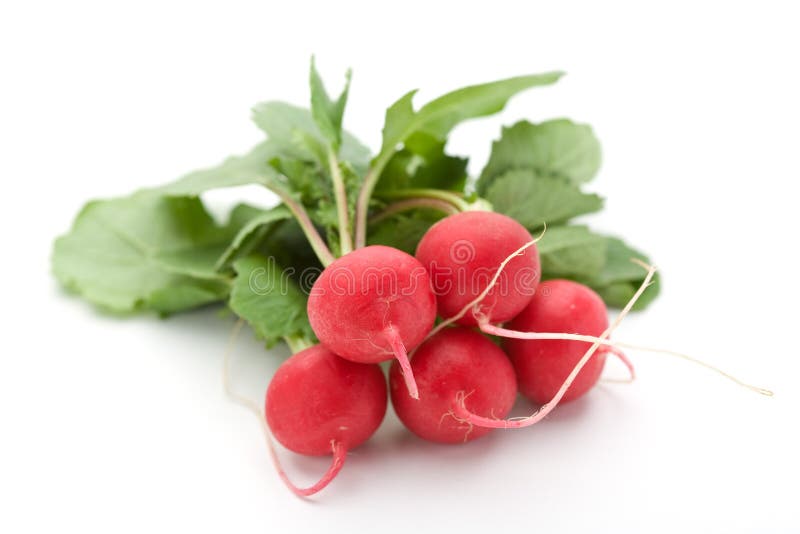 Radis photo stock. Image du frais, nutrition, fond, sain - 23522856