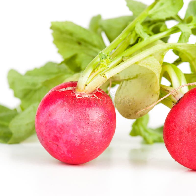 Un radis de jardin photo stock. Image du nutrition, fermer - 38856160