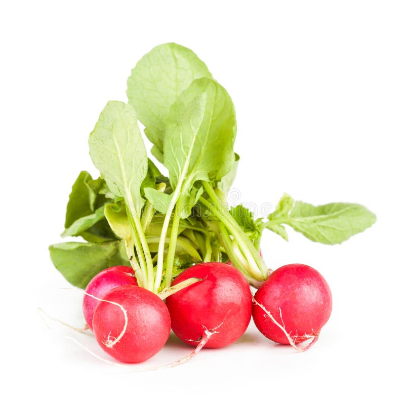 Un radis de jardin photo stock. Image du nutrition, fermer - 38856160