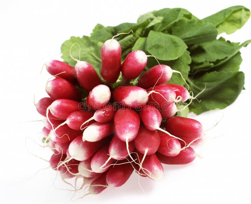 Radis rose stock photo. Image of vegetable, pink, ingredient - 171234494