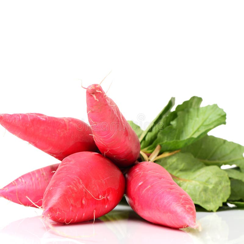 Long Radis Rouge Photos Stock - Téléchargez 428 Photos libres de droits