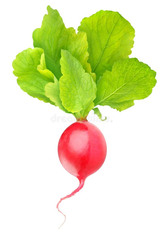 152,559 Photos de Radis - Photos de stock gratuites et libres de droits ...