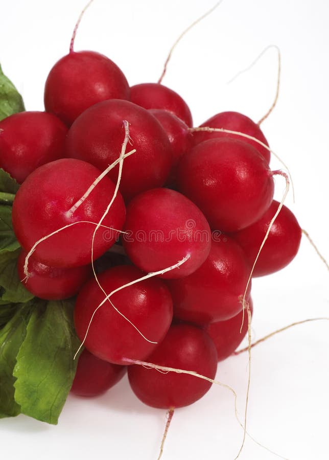 Radis Rouge, Raphanus Sativus Sur Le Fond Blanc Photo stock - Image du ...