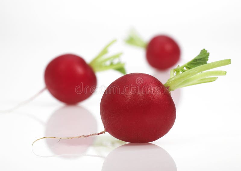 Radis rouge stock image. Image of sativus, botany, white - 172898695