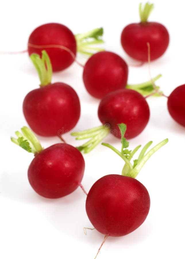 Radis rouge stock image. Image of studio, indoors, vegetable - 172898891