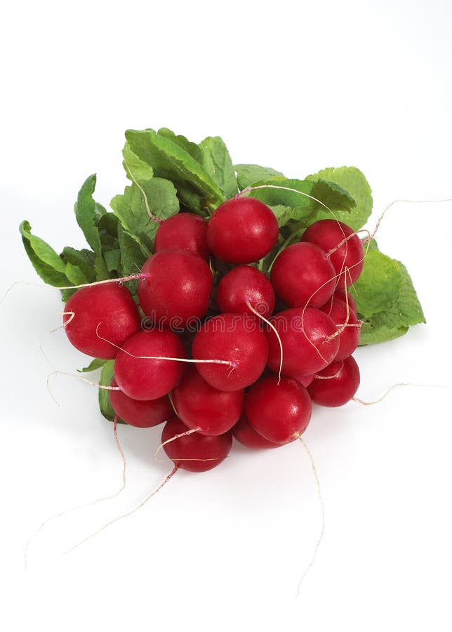 Radis rouge stock photo. Image of raphanus, white, sativus - 172898922