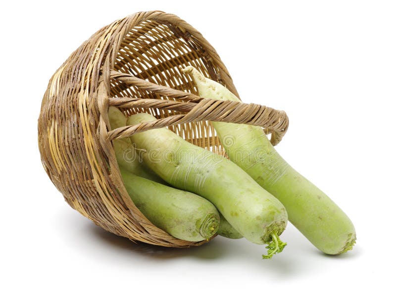 Radis vert photo stock. Image du grand, produit, couleur - 34399782