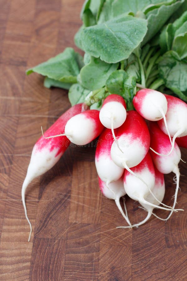Radish stock image. Image of natural, ingredient, health - 10648627