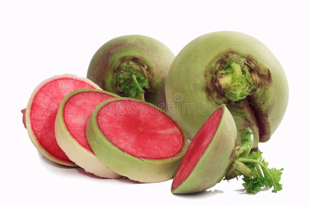 Radish stock photo. Image of isolated, fiber, leaves - 12545254