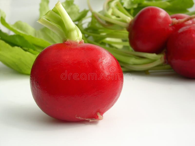 Radish stock image. Image of foods, fitness, close, isolated - 137617