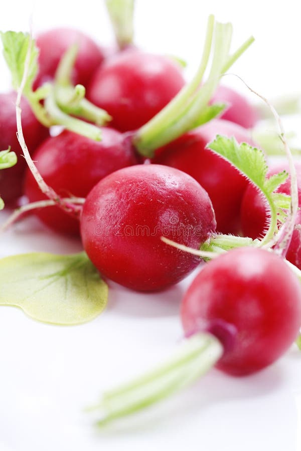 Radish stock photo. Image of nutritious, food, nature - 16428692