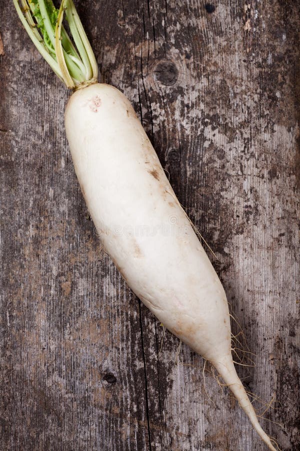 Radish stock image. Image of agriculture, culinary, flavor - 20233709