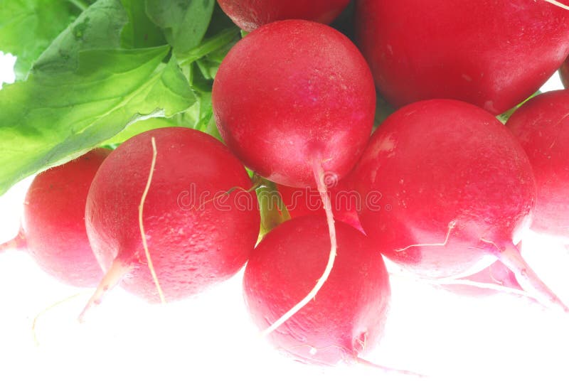 Red Radish stock image. Image of plant, bundle, agriculture - 25056151