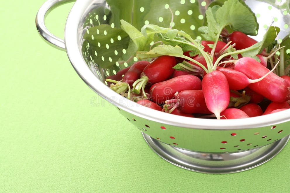 Radish stock photo. Image of radish, bowl, eating, uncooked - 5142232