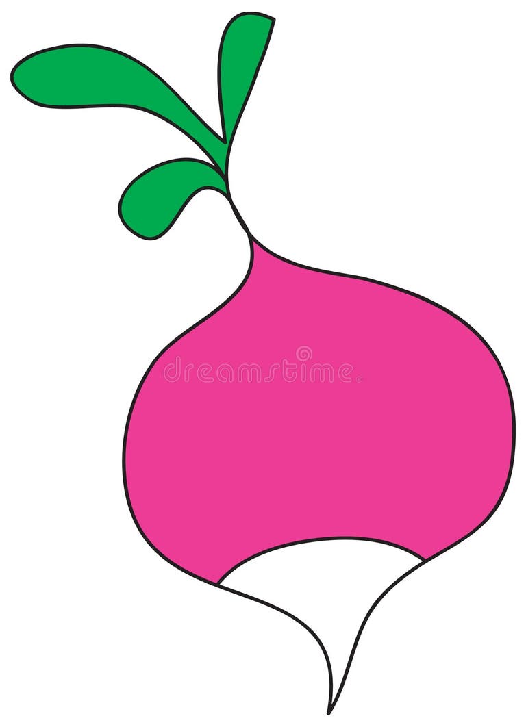 Cartoon Radishes Stock Illustrations – 772 Cartoon Radishes Stock ...