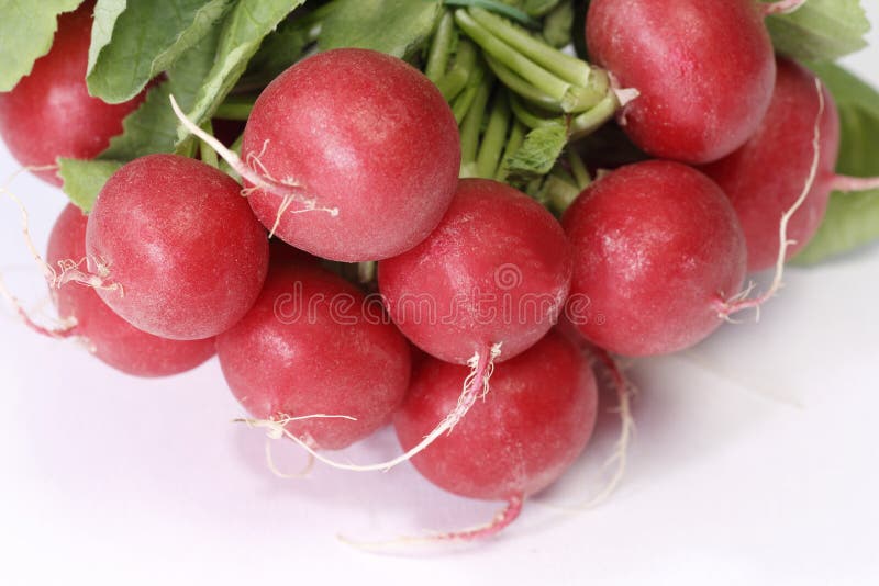 Radish Picture. Image: 8647377