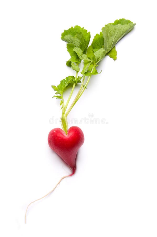 Radish as a heart stock image. Image of organic, vegan - 12846185