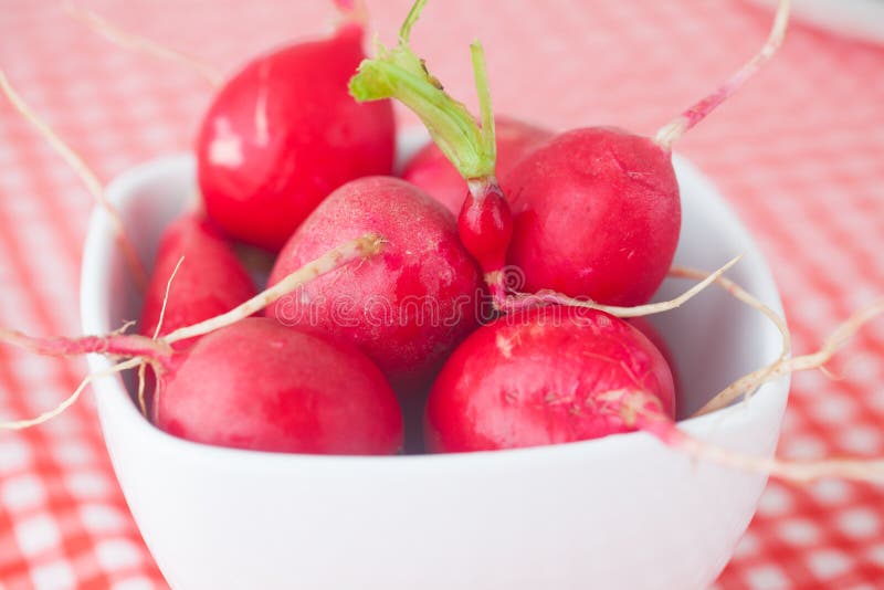 Radish in bowl stock photo. Image of macro, diet, ingredient - 35961514