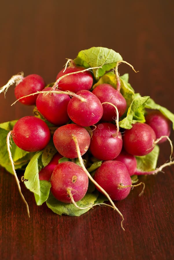 Radish Bunch with Dirt, in Hand Stock Image - Image of meal, nutrition ...