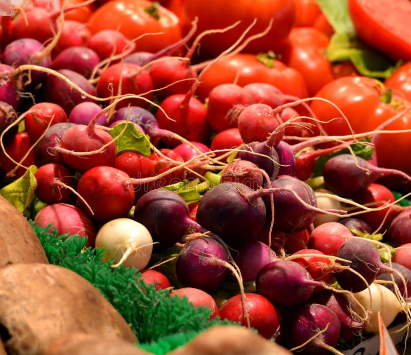 Radish Bunch stock image. Image of recipe, dinner, summer - 26406433