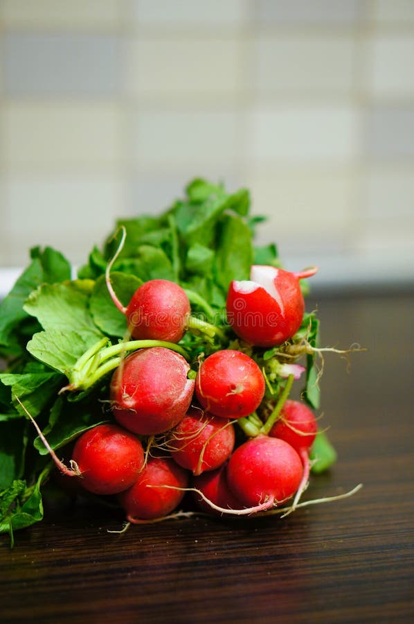 Radish bunch stock photo. Image of radish, produce, natural - 59021256